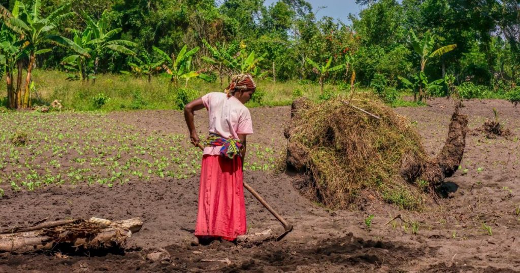 SUPPORTING WOMEN EMPOWERMENT PROGRAMS AND FIGHTING DOMESTIC VIOLENCE ...